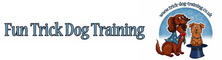 Fun Trick Dog Training. Work towards gaining awards with your dog